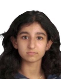 Seattle Neuroscience Education Initiative